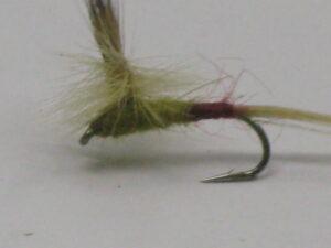 Yellow Sally – Troutster.com – Fly Fishing Tips and Tactics