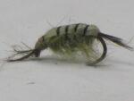Scud Or Freshwater Shrimp Fly Patterns