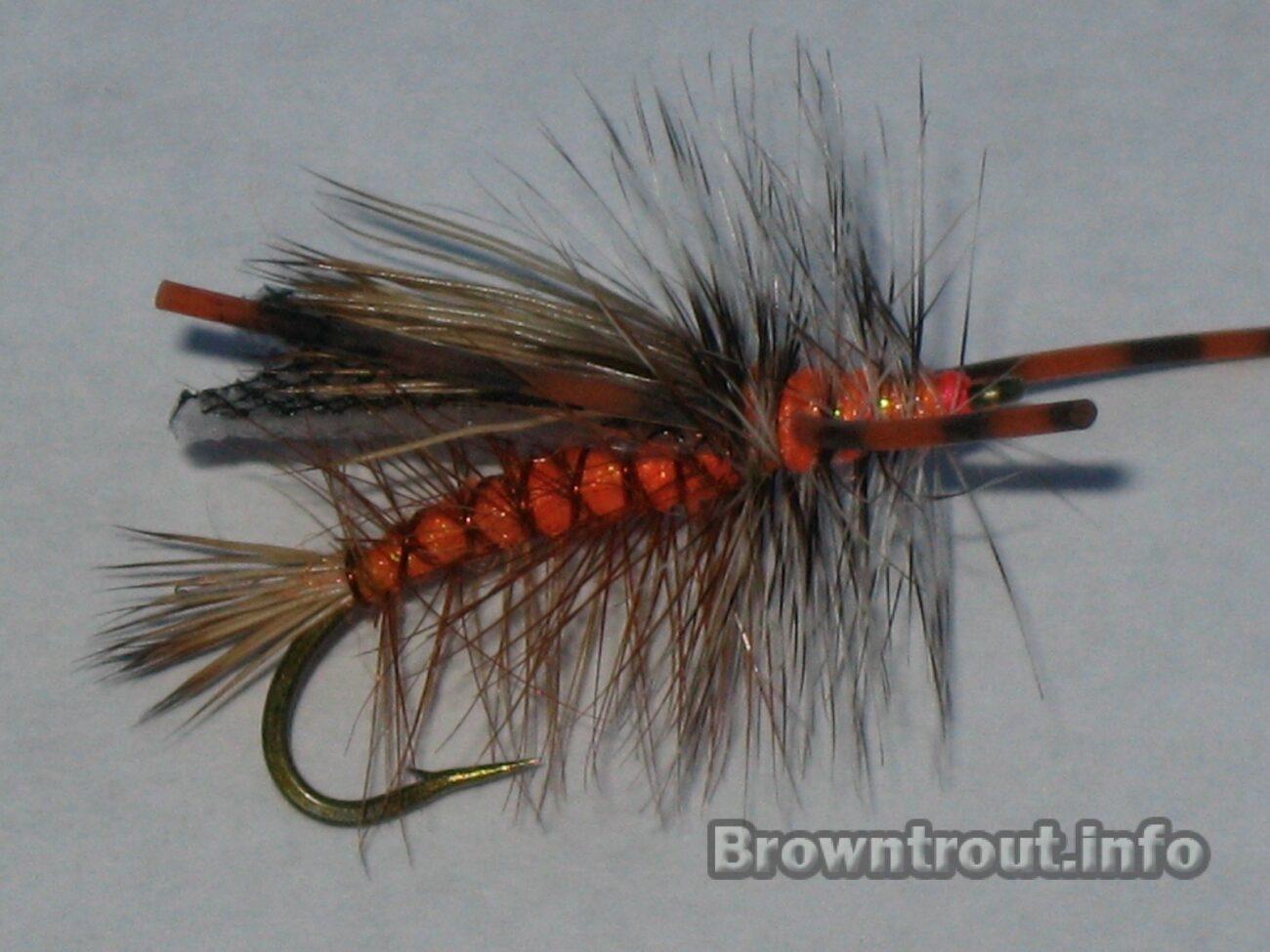 Tips for Fly Fishing in Small Streams and Creeks – Troutster.com – Fly ...