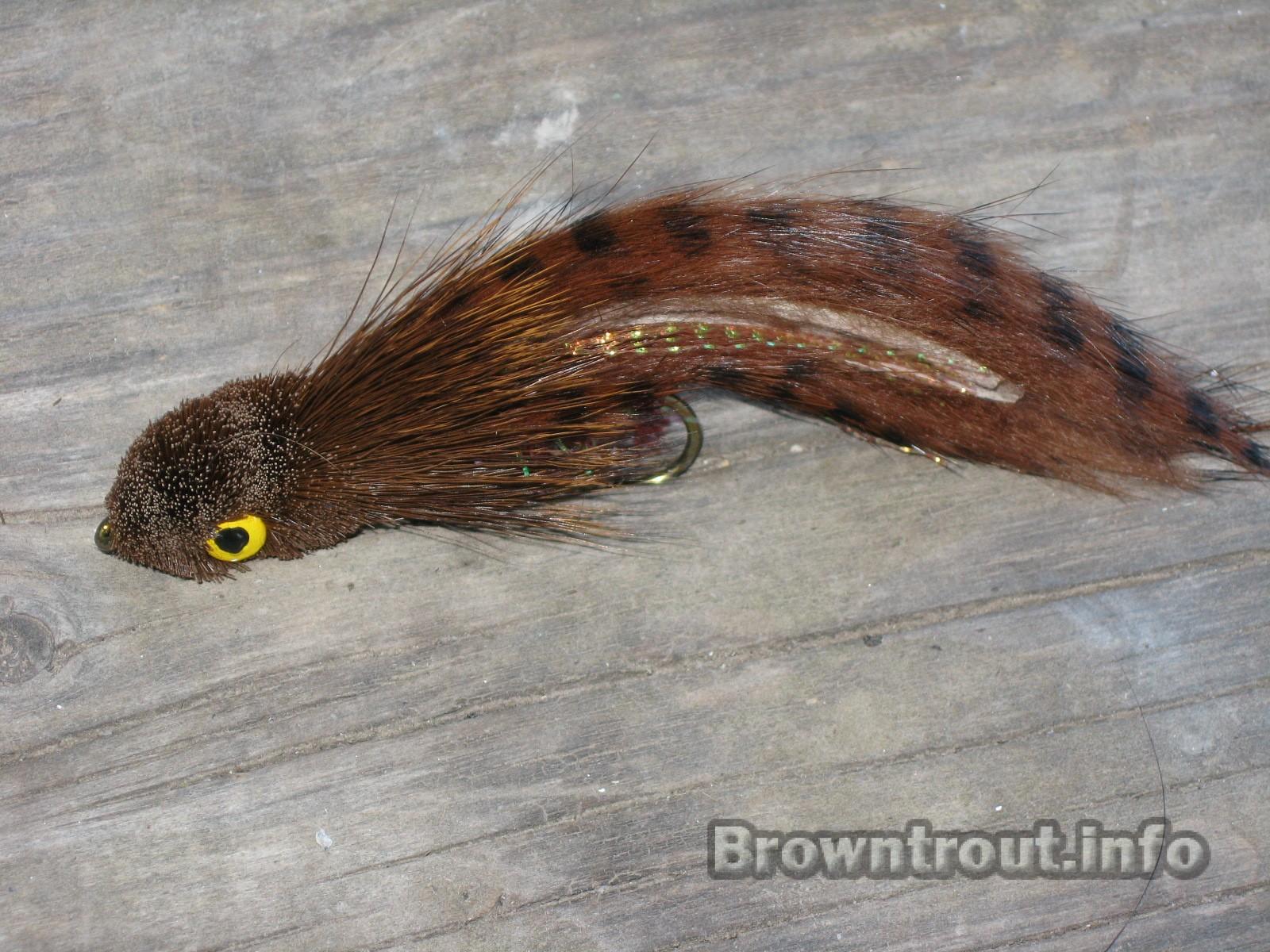 Fly Fishing For Bass – Troutster.com – Fly Fishing Tips and Tactics