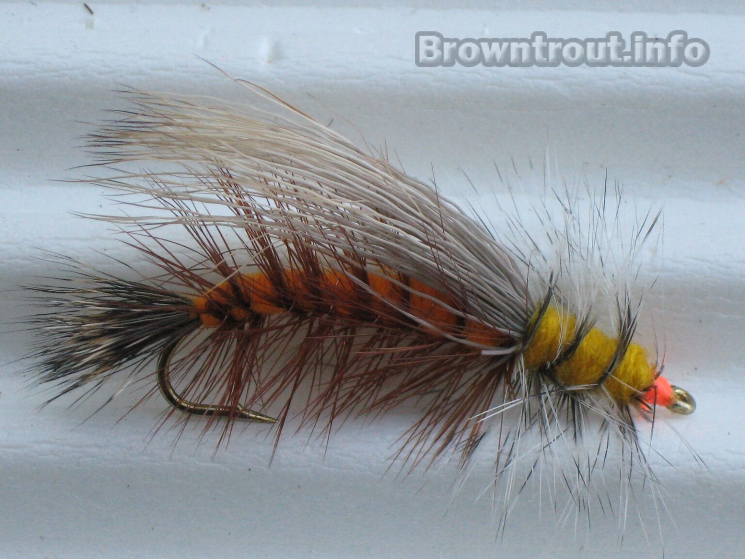 Stimulator – Troutster.com – Fly Fishing Tips and Tactics