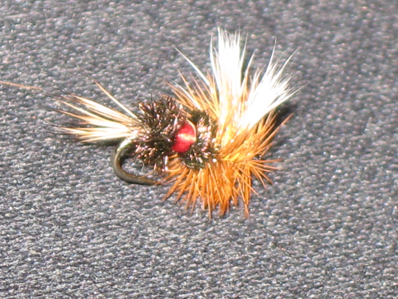 The History of the Royal Coachman Fly – Troutster.com – Fly Fishing ...