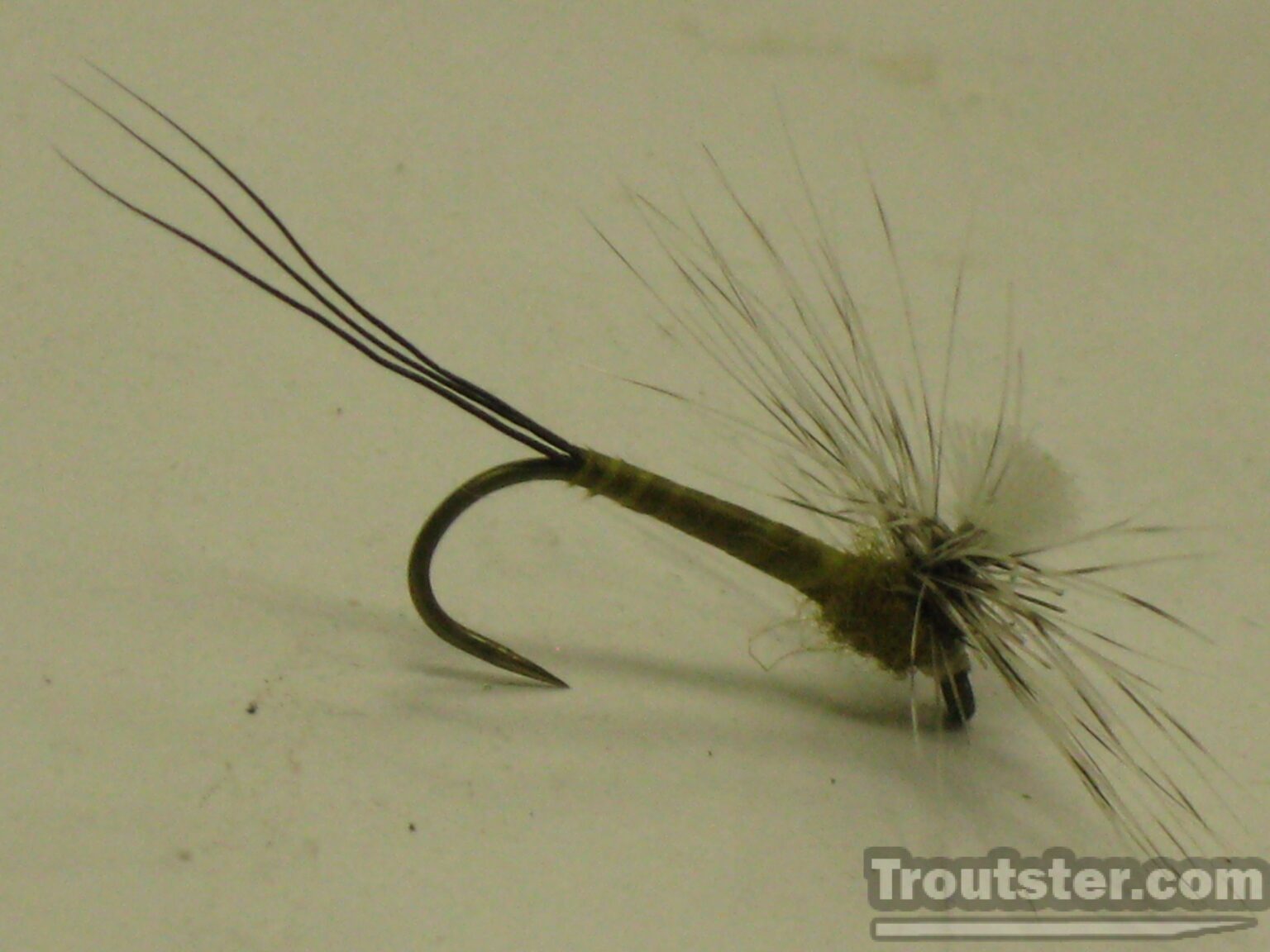 Green Drake Fly Patterns – Emerger, Cripple and Spinner Patterns ...