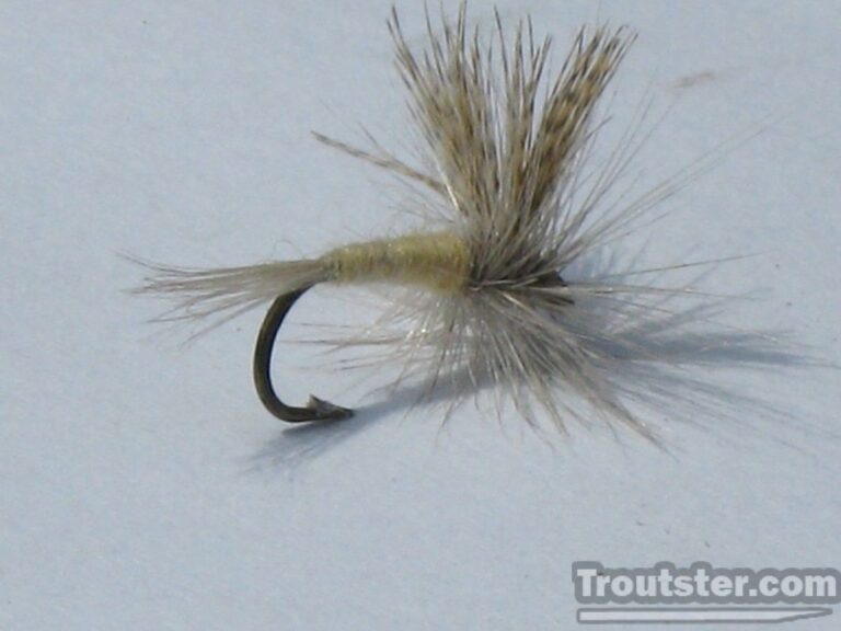 Hendrickson Mayfly – Fly Patterns and Hatch Information – Troutster.com ...