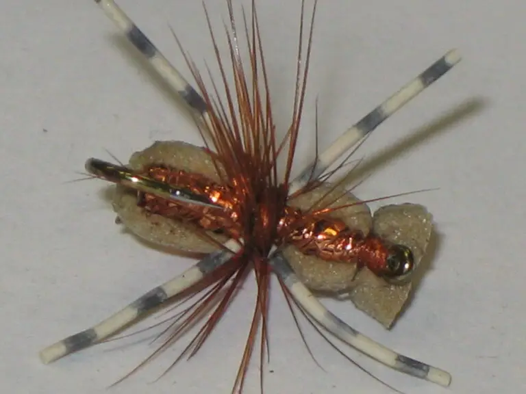 Beetle Fly Patterns – Troutster.com – Fly Fishing Tips and Tactics