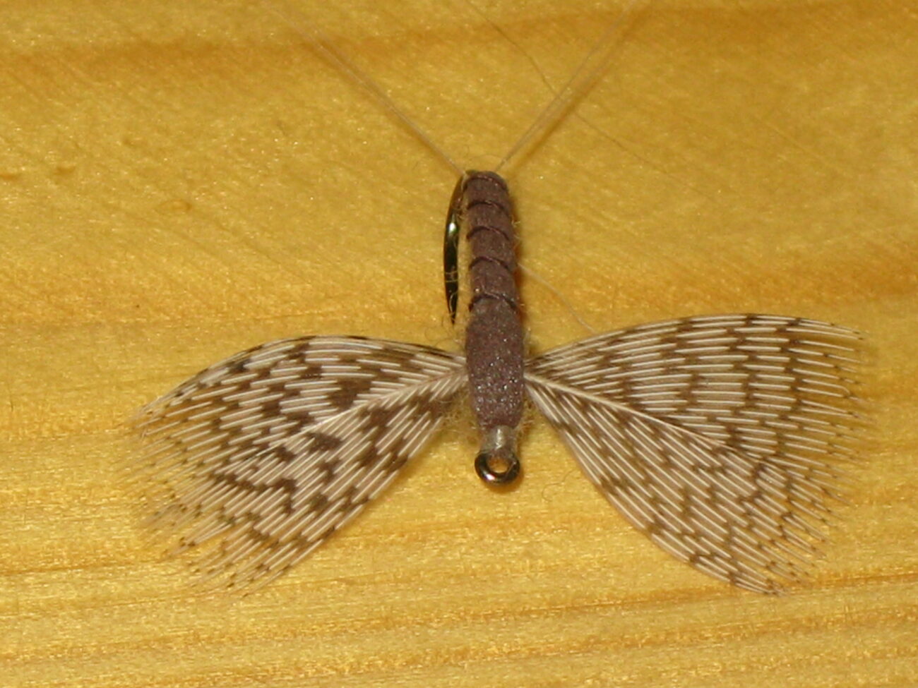 Isonychia Mayflies and Fly Pattern – Troutster.com – Fly Fishing Tips ...