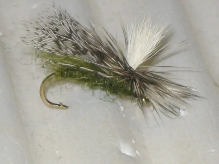 EZ Caddis Fly Pattern – Troutster.com – Fly Fishing Tips and Tactics