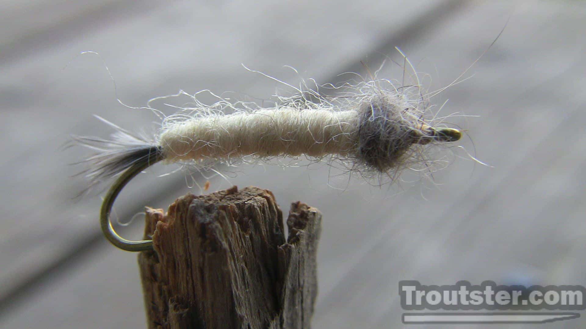 Crane Fly Larvae – Troutster.com – Fly Fishing Tips and Tactics
