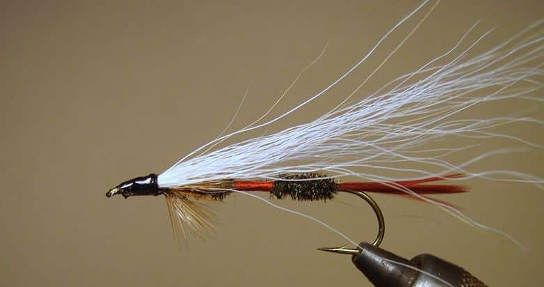 The History of the Royal Coachman Fly – Troutster.com – Fly Fishing ...