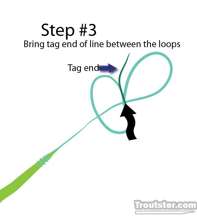 Step 3 for tying perfection loop knot – Troutster.com – Fly Fishing ...