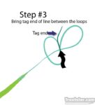 Tying the Perfection Loop Knot – Troutster.com – Fly Fishing Tips and ...
