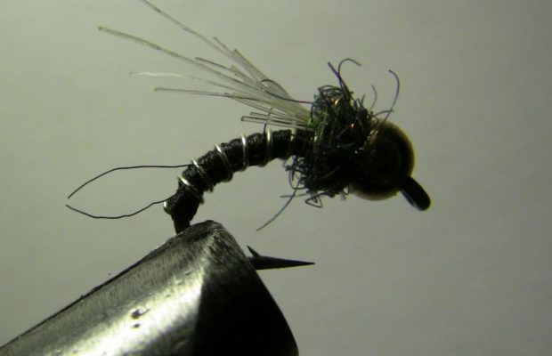 How to Tie the Zebra Midge Fly Pattern - Troutster.com